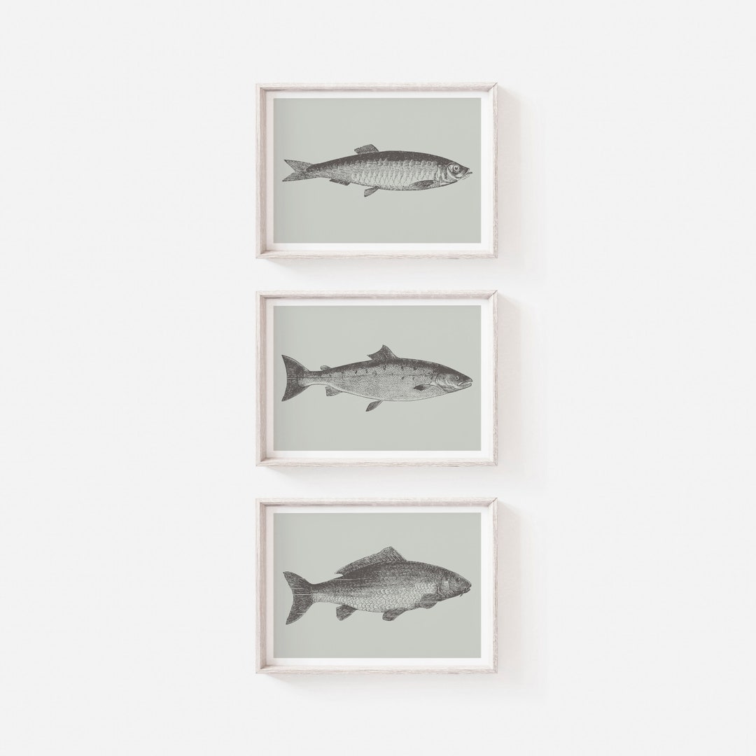 Set of Prints, Fish Prints, Grey Print Set, Fish Wall Art, Wall Art ...