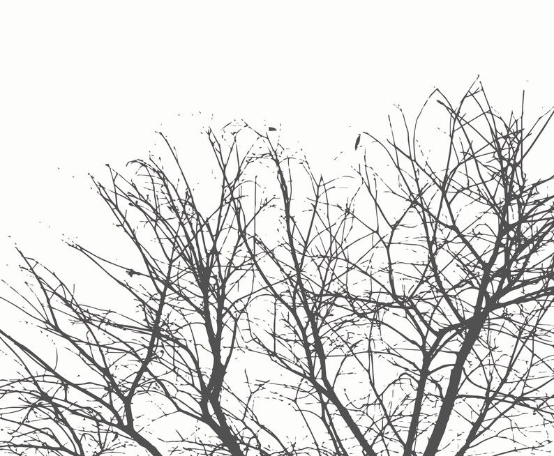 Set of Prints Black and White Tree Print Set Wall Art | Etsy