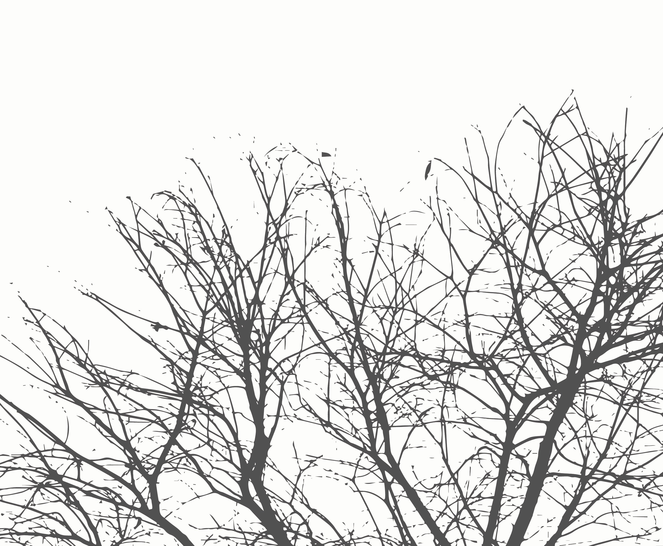 Set of Prints Black and White Tree Print Set Wall Art | Etsy