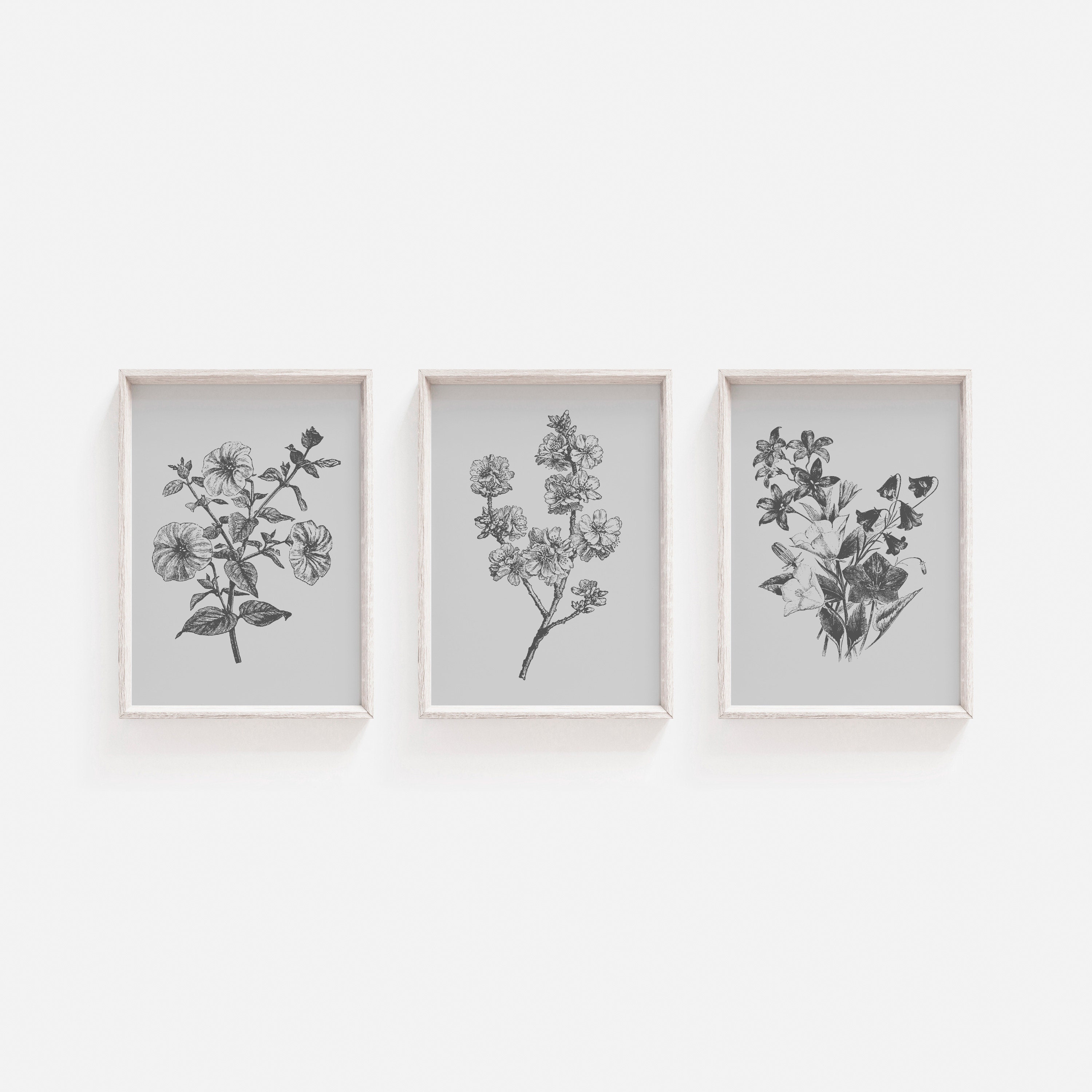 Botanical Print Set Flower Prints Set of Prints Botanical | Etsy