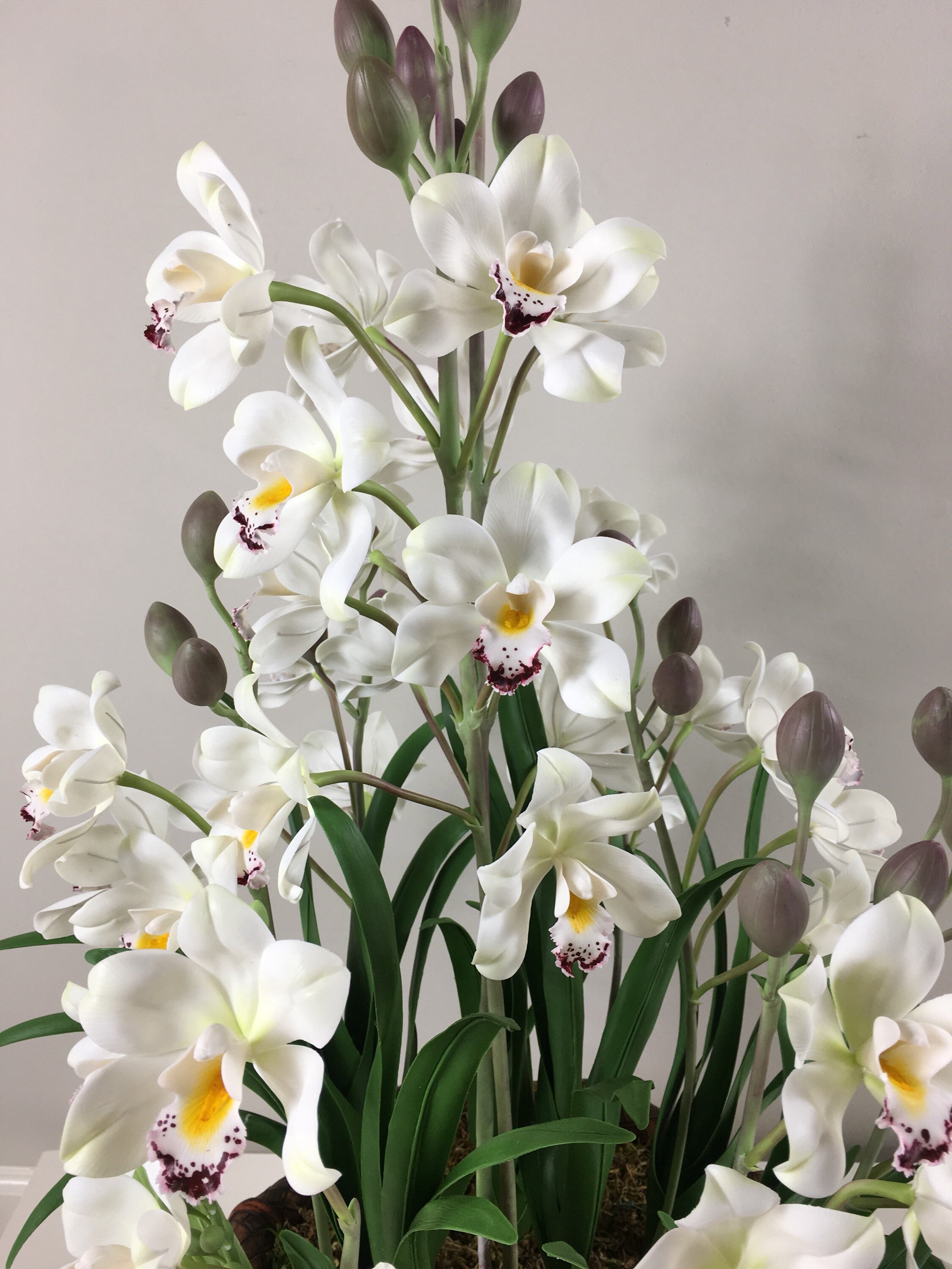 POLYMER CLAY FLOWERS, Cymbidium Flowers, Cold Porcelain Cymbidium ...