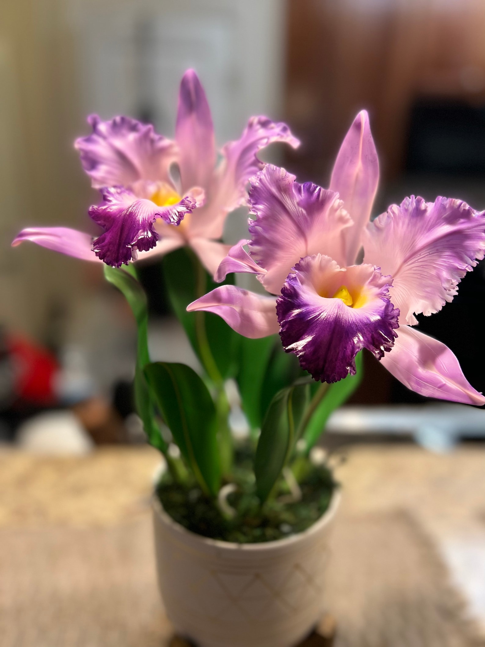 ORCHID CLAY FLOWER, Flower Arrangement, Decorative Cattleya Flower for ...
