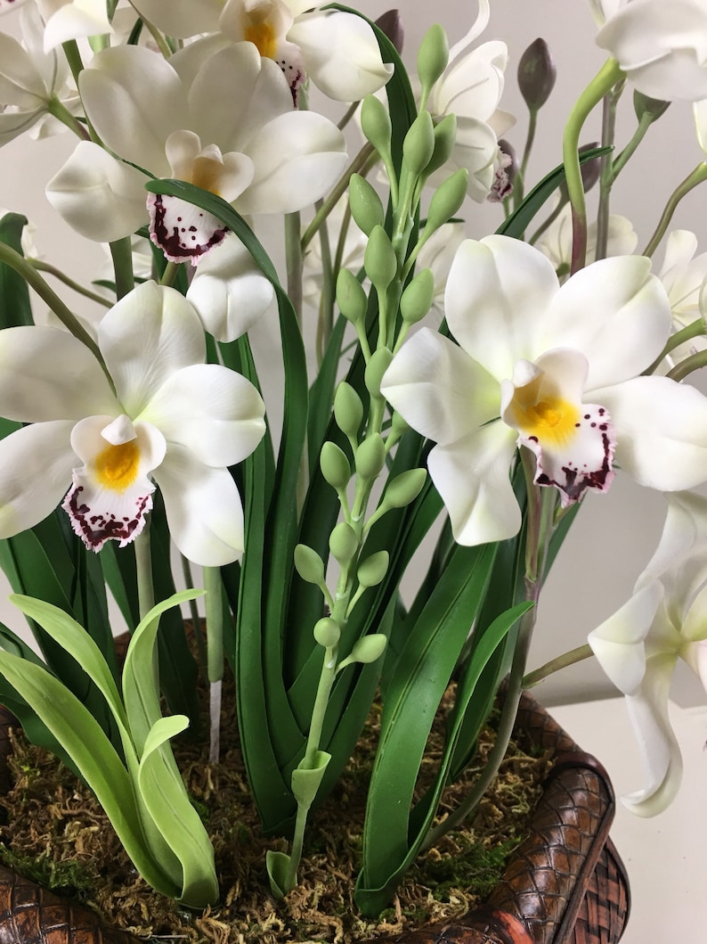 POLYMER CLAY FLOWERS, Cymbidium Flowers, Cold Porcelain Cymbidium ...