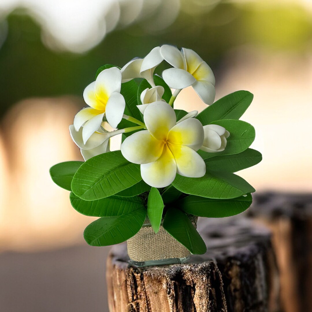 Handcrafted Plumeria Blooms - Exquisite Cold Porcelain Clay Flowers ...