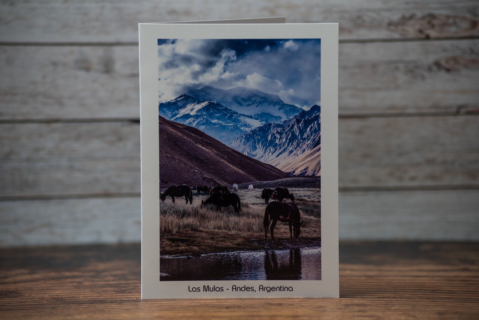 Las Mulas Andes, Argentina Greeting Card - Etsy