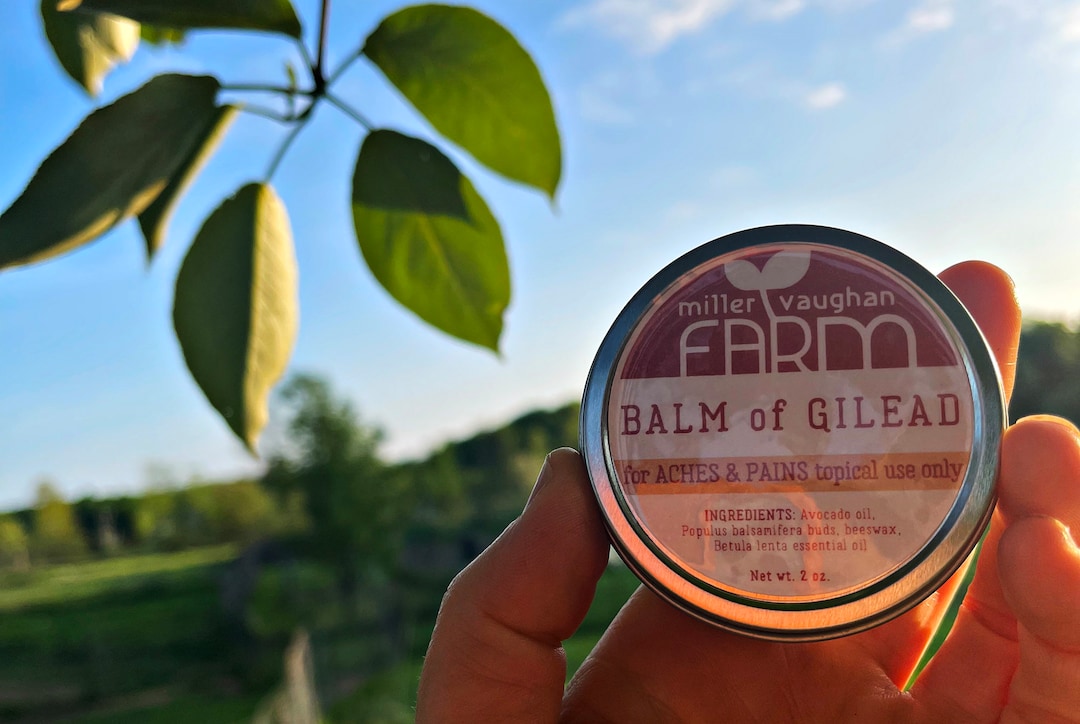 Balm of Gilead Salve Topical Ointment Healing Skin Care Home Remedy All ...