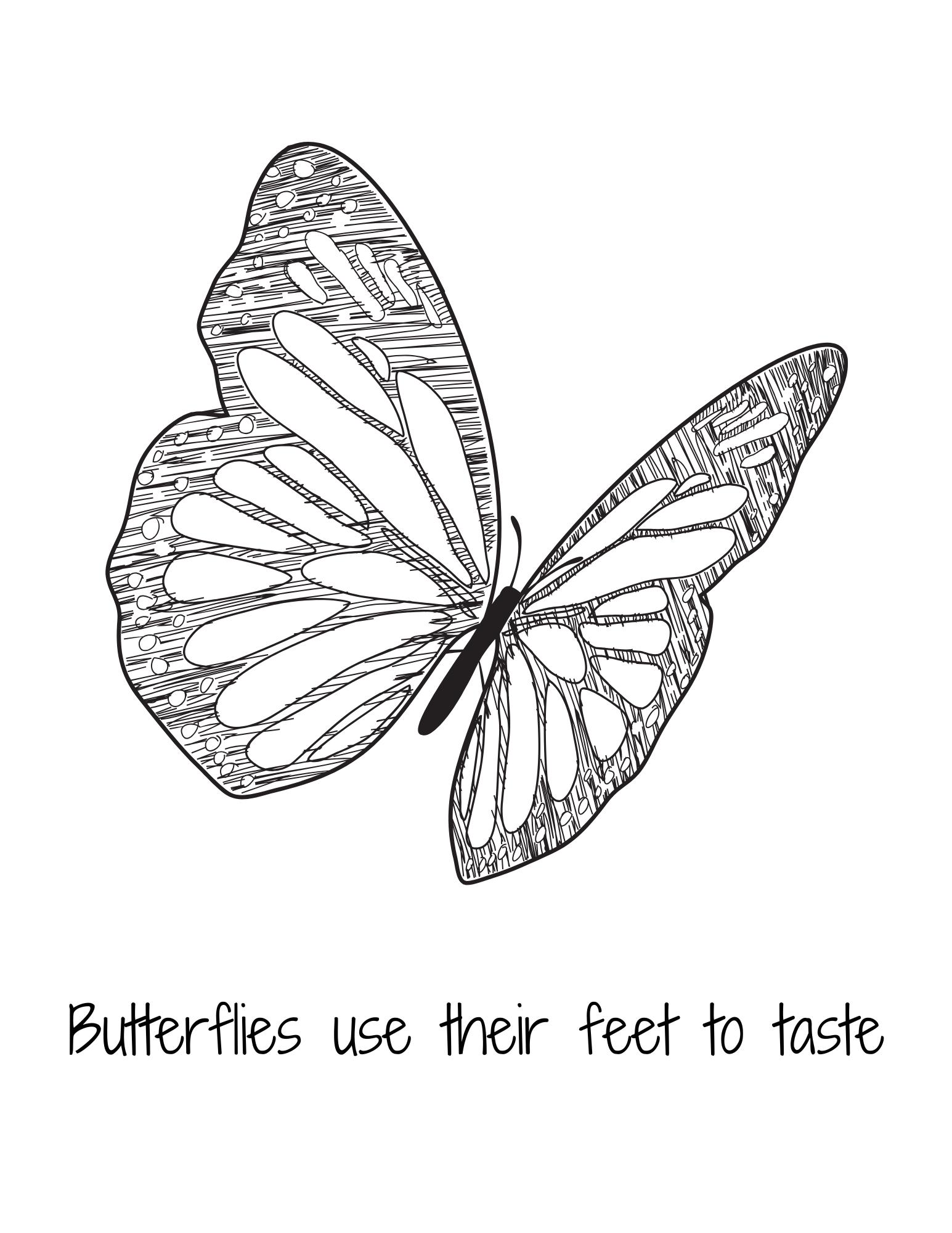 Animal Coloring Pages With Fun Facts Canva Template (includes 30 Pages ...
