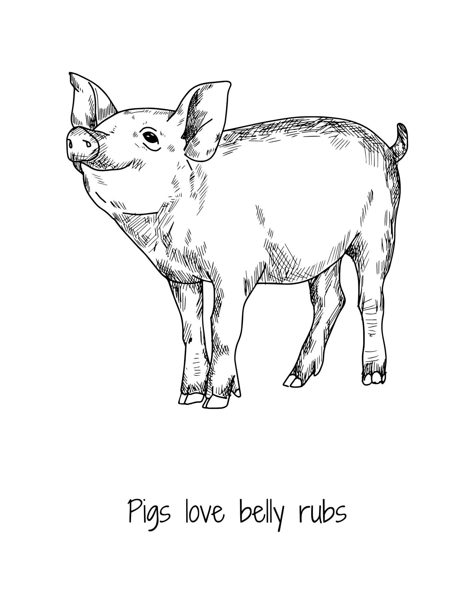 Animal Coloring Pages With Fun Facts Canva Template (includes 30 Pages ...