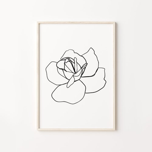 Abstract Rose Sketch Flower Line Drawing Rose Poster Rose - Etsy