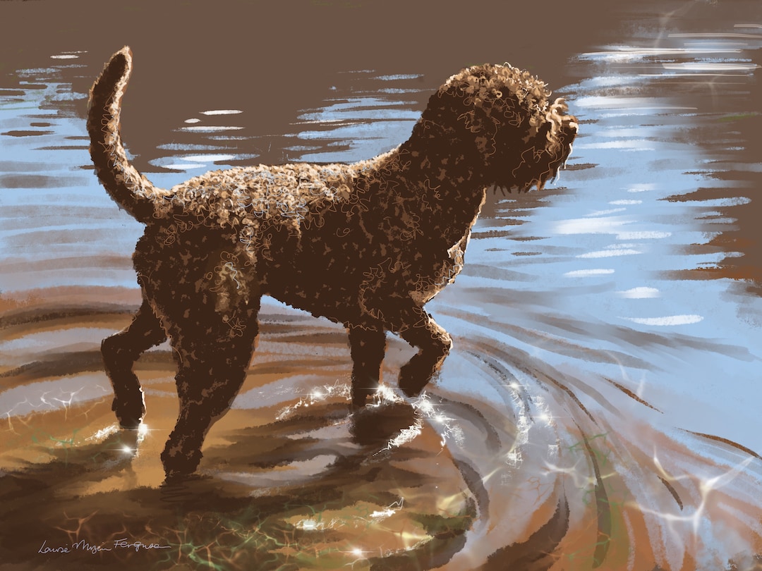 Lagotto, Water Dog - Etsy