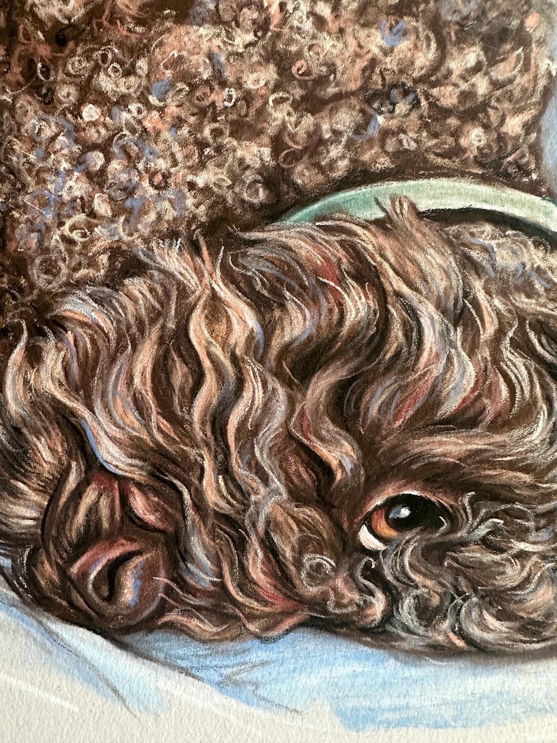 Lagotto Romagnolo Limited Edition Giclee Print "lagotto Relax" - Etsy