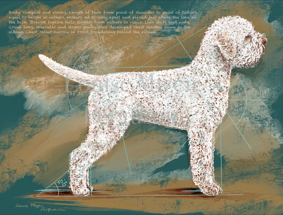 Lagotto Romagnolo Illustrated Breed Standard Body - Etsy