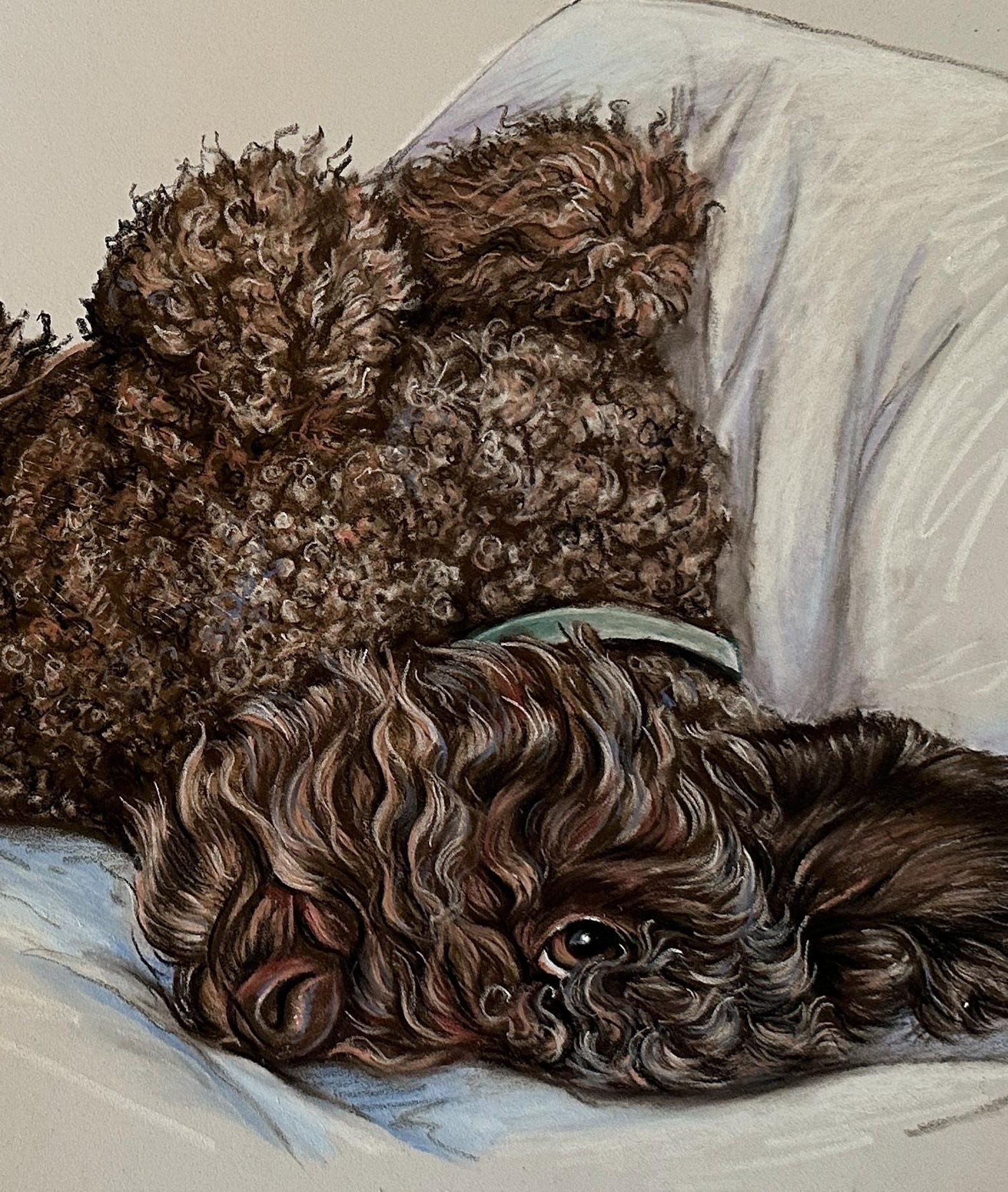 Lagotto Romagnolo Limited Edition Giclee Print "lagotto Relax" - Etsy