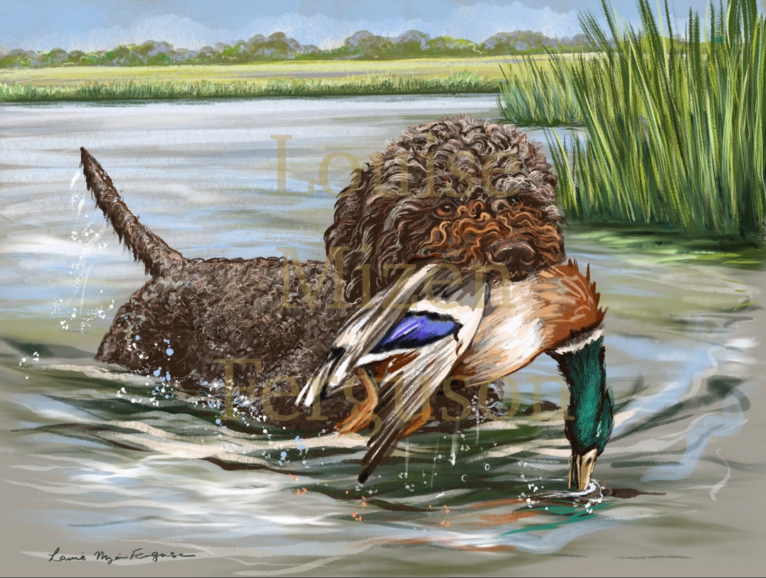 Lagotto, Ancient Duck Retriever - Etsy