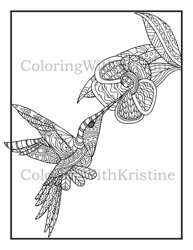 Hummingbird & Butterfly Coloring Book: Zentangle Designs (PDF Pattern ...