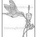 Printable Coloring Book Hummingbirds and Butterflies Adult Coloring ...
