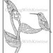 Printable Coloring Book Hummingbirds and Butterflies Adult Coloring ...