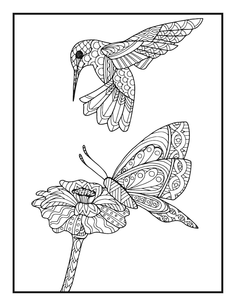 Printable Coloring Book Hummingbirds and Butterflies Adult | Etsy