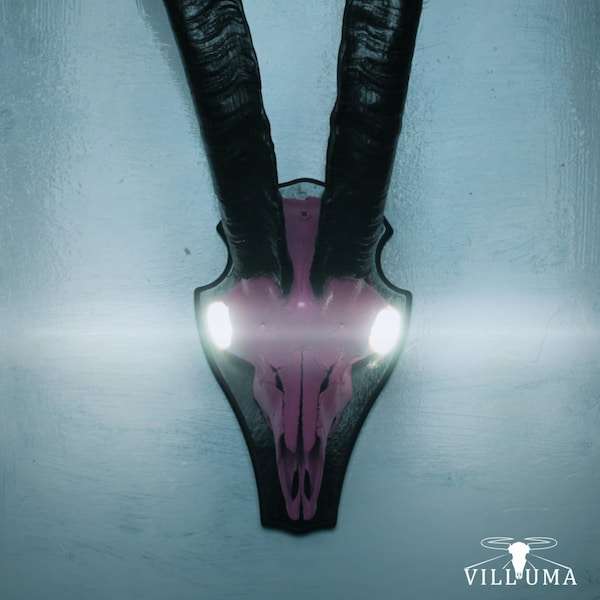 Animal Wall Sconce - Etsy