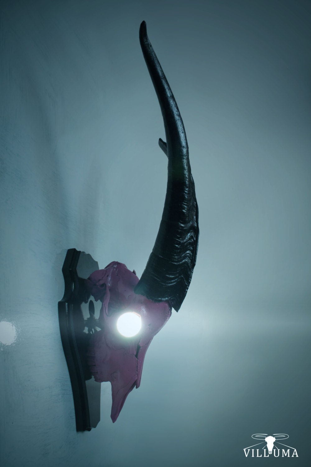 Goat Skull Sconce / Wall Lamp genuine Taxidermy - Etsy