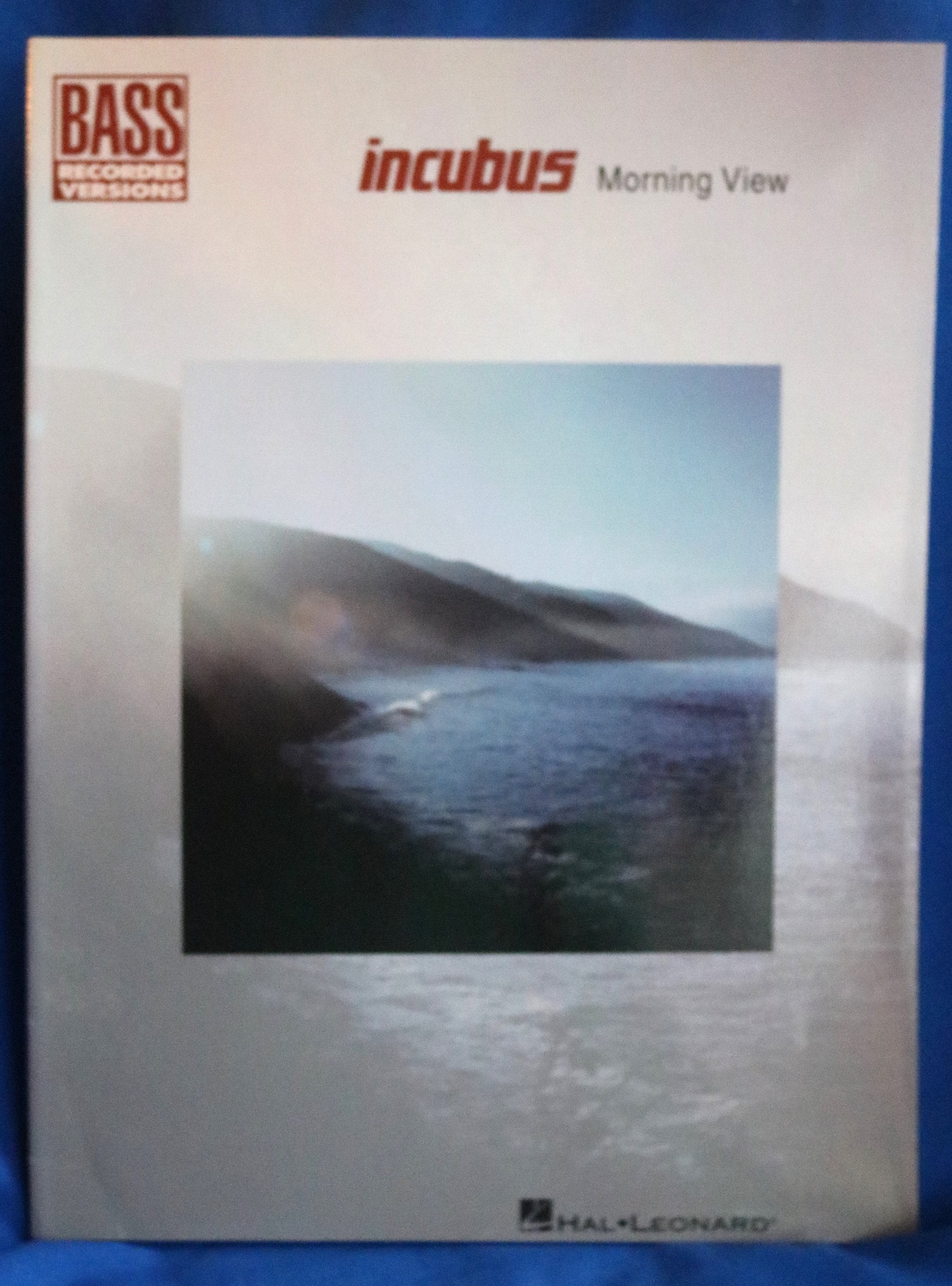 Incubus Morning View