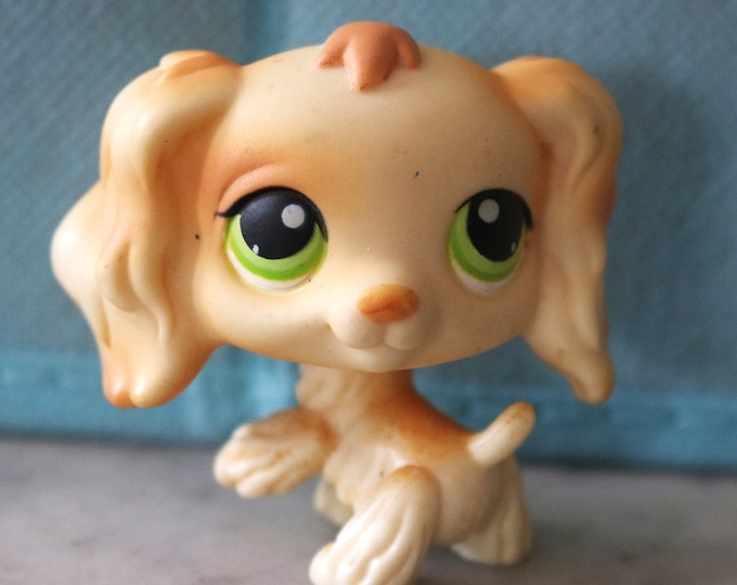 Littlest Pet Shop, LPS, Rare, Yellow Cocker Spaniel Puppy, Dog, No 344 ...