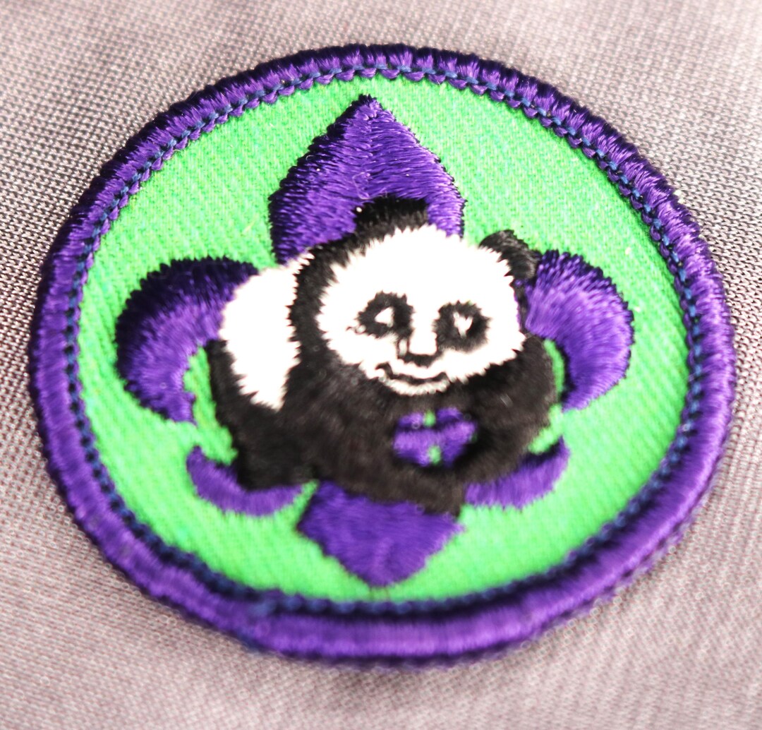 Boy Scout, Vintage, BSA, World Conservation Award, Panda Bear, Green ...