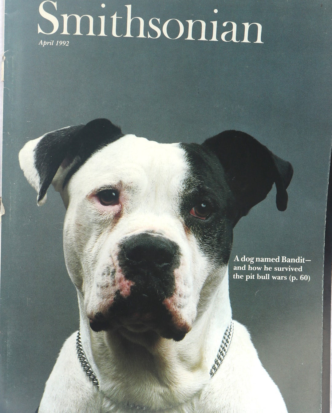 Vintage, Smithsonian Magazine, April 1992, Vicki Hearne Animal Trainer ...