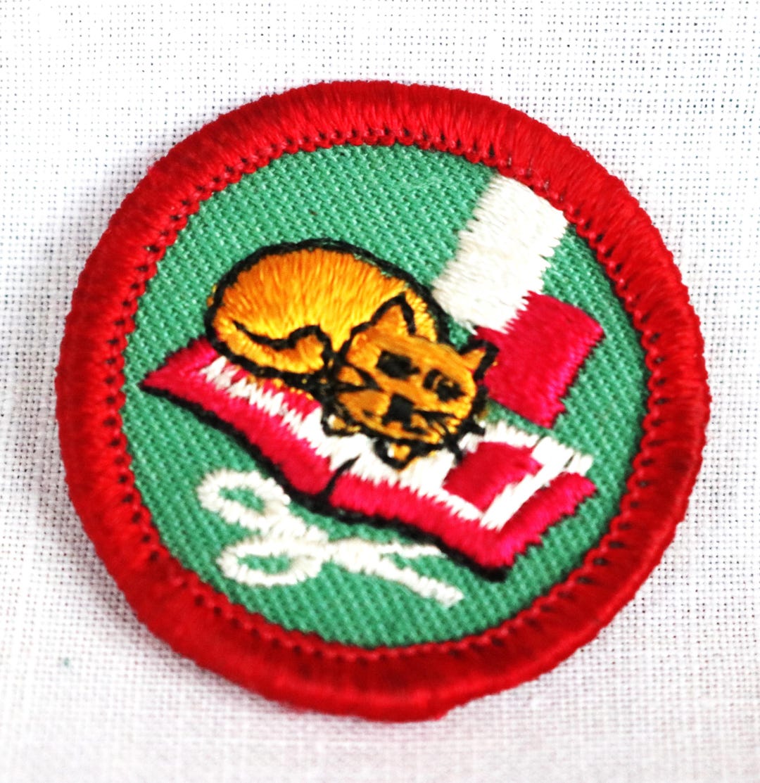 Girl Scout, Cats and Badges, Girl Scout With a Cause, Patch ...