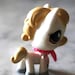 Littlest Pet Shop, LPS, Horse With Hot Pink LPS Collar, White Horse ...