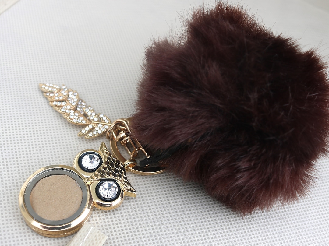 Fluffy Pom Pom Keychain, Glass Stomach Owl Fame, Crystal Feather, for ...