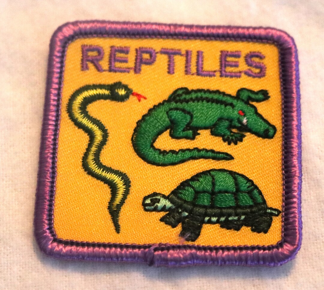 Vintage, Girl Cub Boys Scouts, Reptiles, Turtle Snake Lizard, Fun Patches, Badges, Purple Border ...