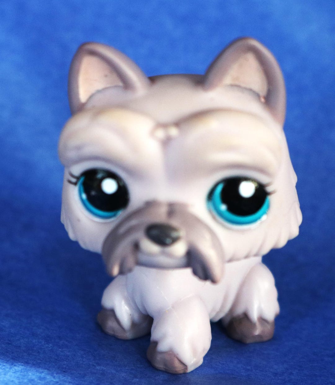 Littlest Pet Shop, LPS, Scottie, # 1201, White Blue Dot Eyes, Gray Ears ...