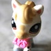 Littlest Pet Shop, LPS, Horse With Hot Pink LPS Collar, White Horse ...