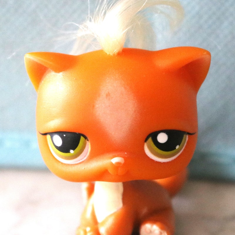 Lps Orange Cat - Etsy