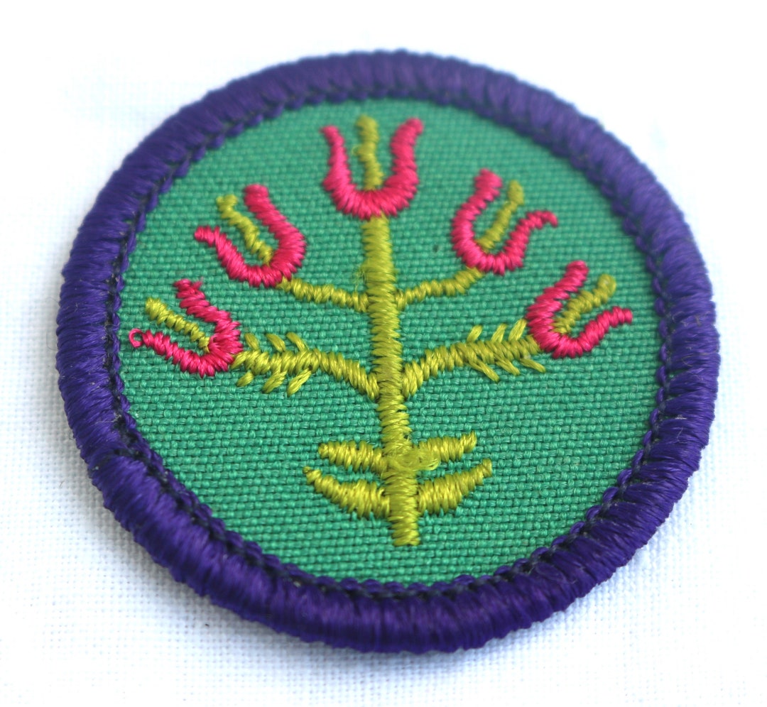 Vtg, Girl Scout Junior, 1980-2000 Folk Arts Badge, Pennsylvania Dutch ...