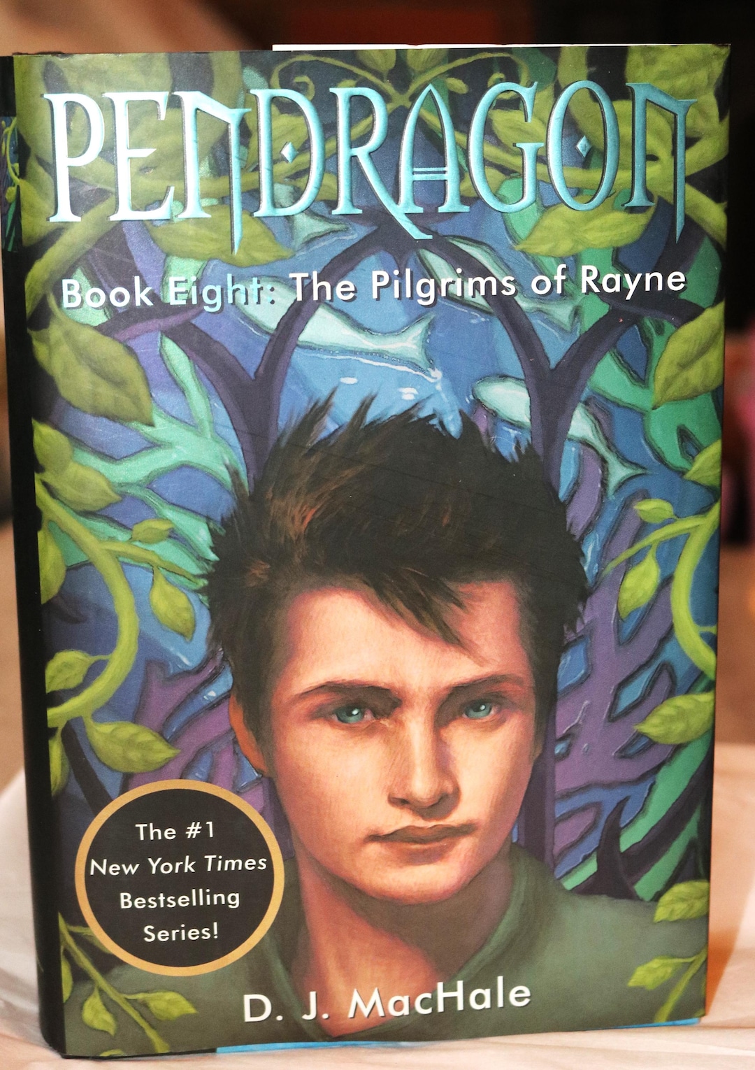 Pendragon, the Pilgrims of Rayne, Hardcover, Dust Jacket, Author D.J ...