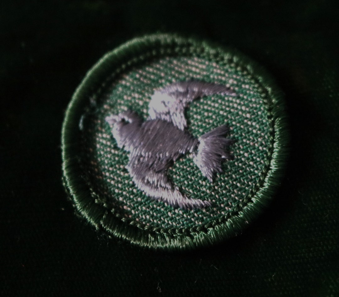 Girl Scouts Intermediate, Bluebird Finder, Rare, Vintage, Round Badge ...