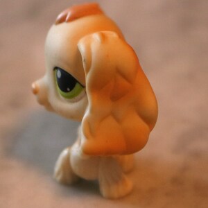 Littlest Pet Shop, LPS, Rare, Yellow Cocker Spaniel Puppy, Dog, No 344 ...