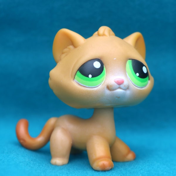 Littlest Pet Shop Orange Cat - Etsy