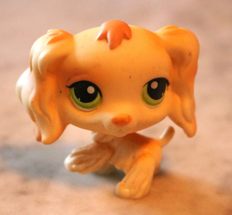 Littlest Pet Shop, LPS, Rare, Yellow Cocker Spaniel Puppy, Dog, No 344 ...