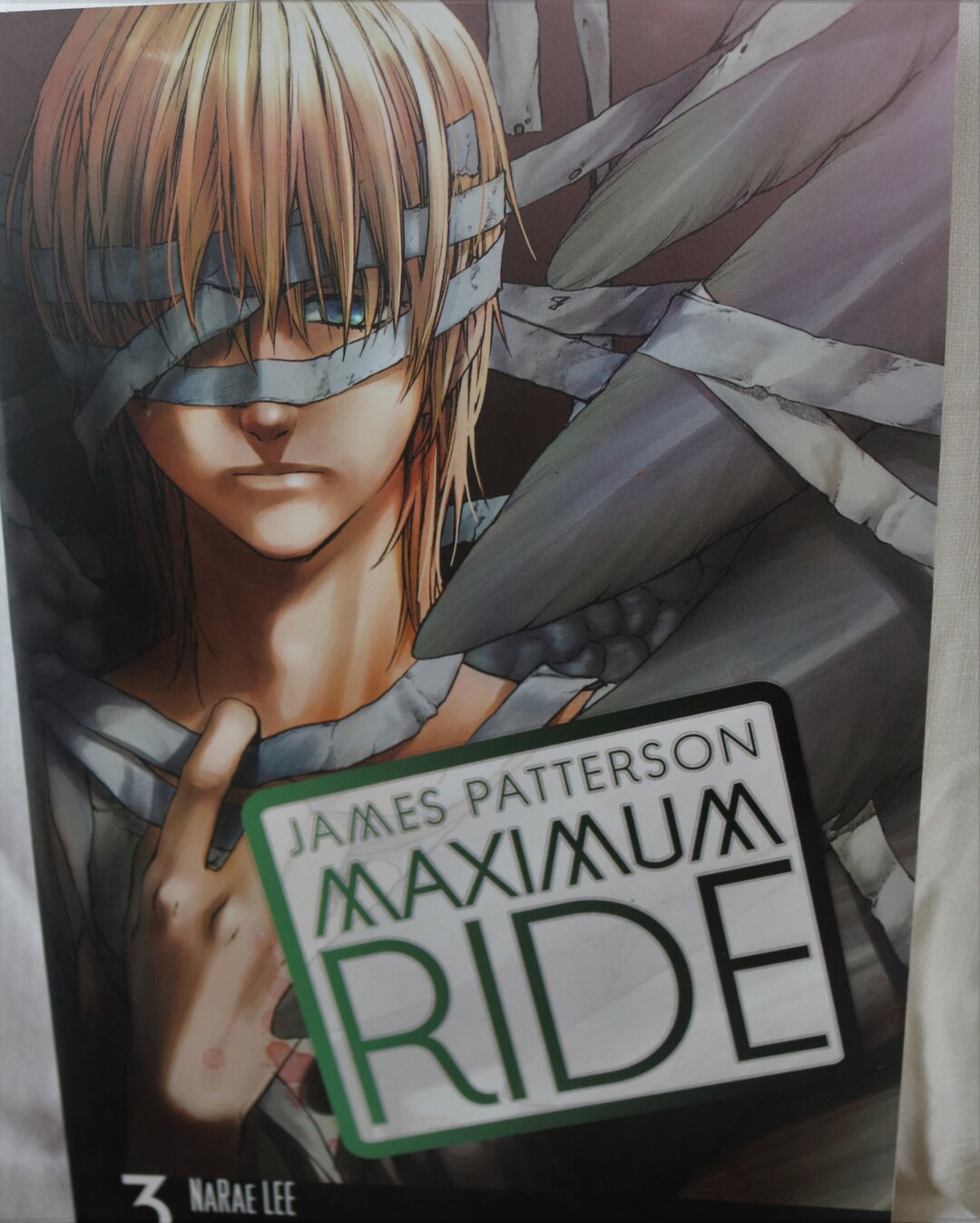 James Patterson/ Maximum Ride/ Book 3/ Paperback Book/ Comic/scholastic ...