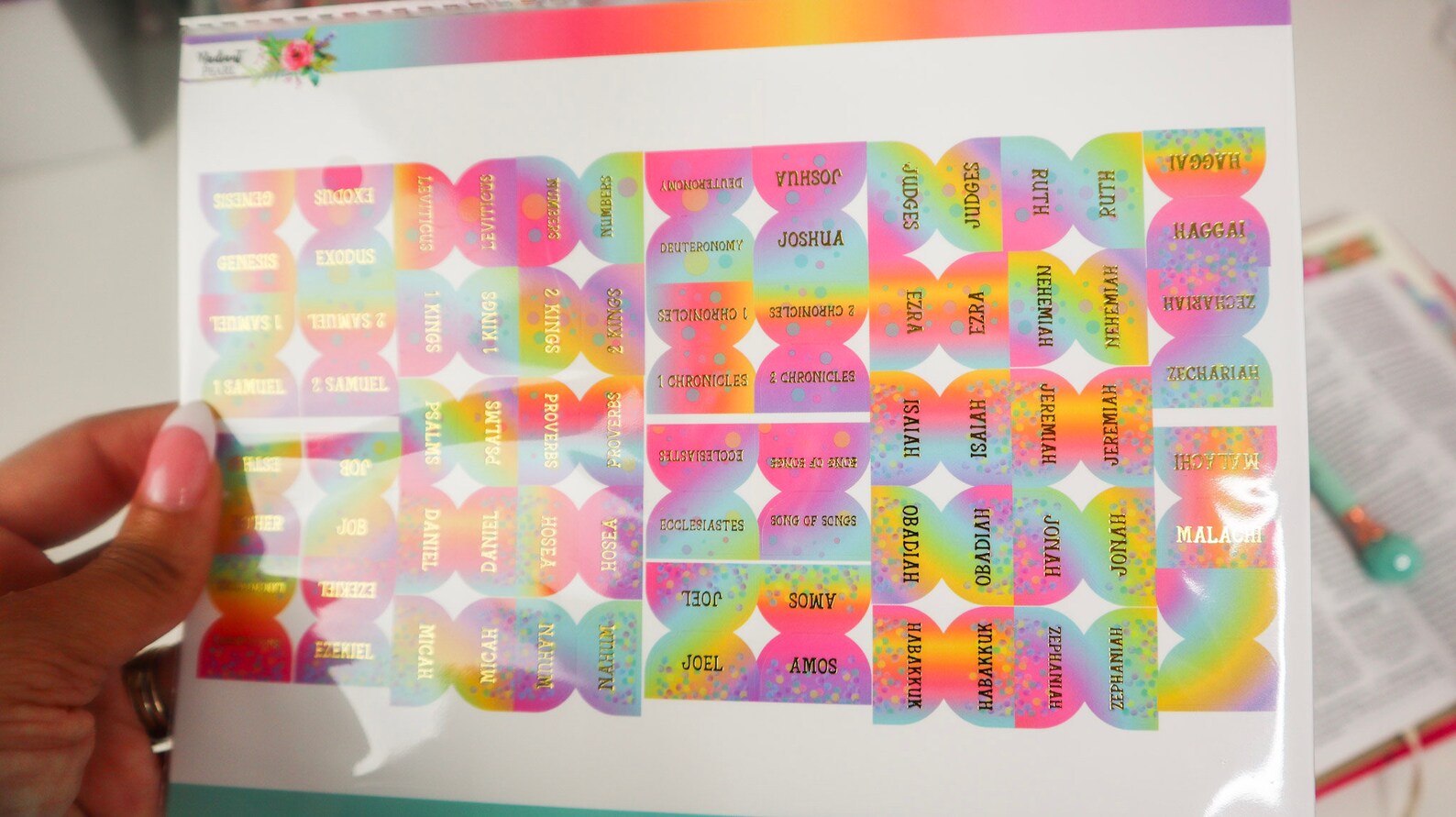 Colorful Bible Tabs Printed Bible Tab Stickers Books of the Bible Bible ...