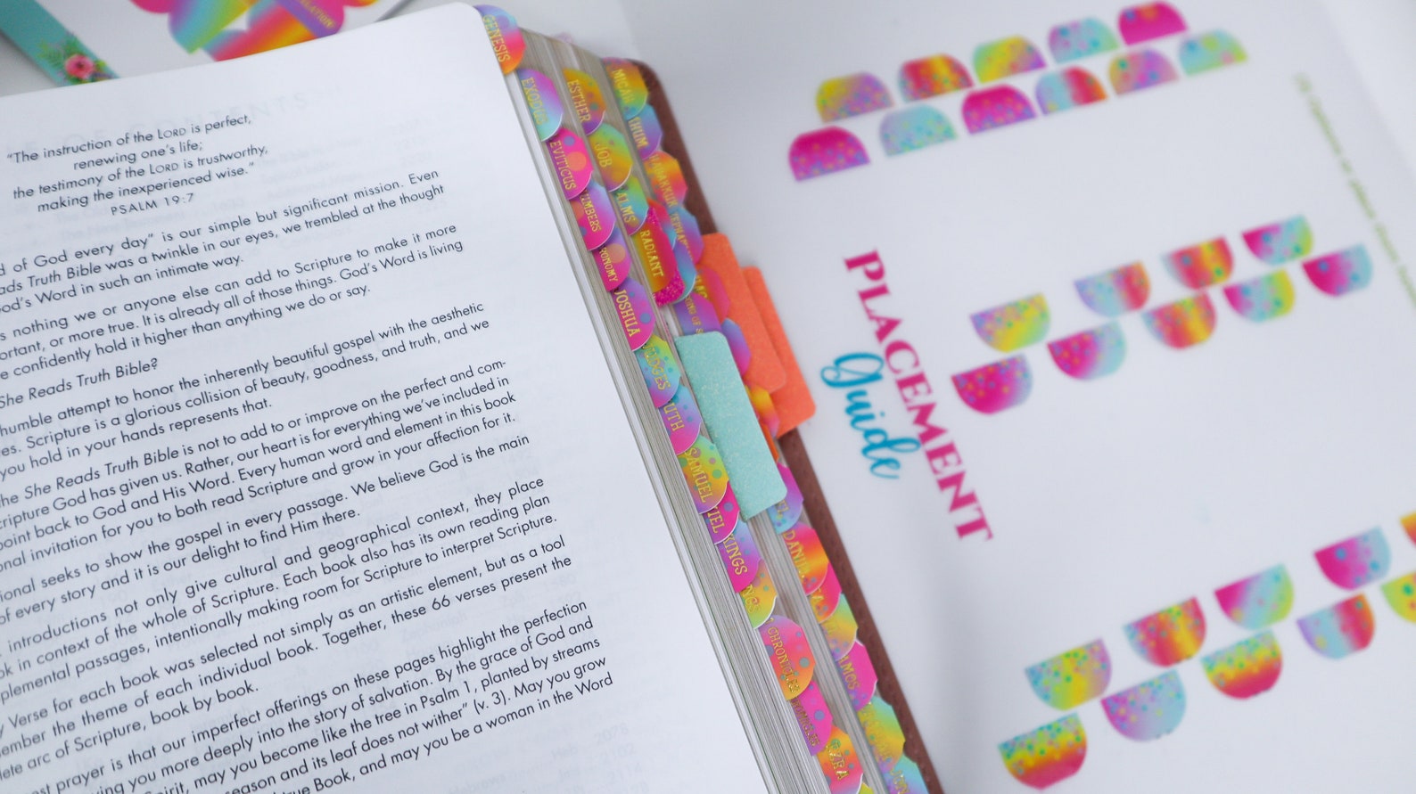 Colorful Bible Tabs Printed Bible Tab Stickers Books of the Bible Bible ...