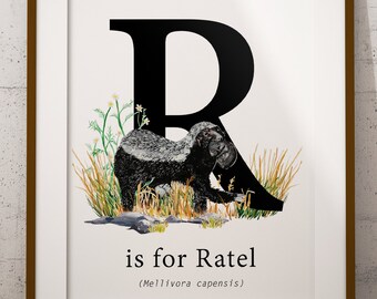 Badger Printable Art - Etsy