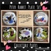 Peter Rabbit Plate Set 5 Pcs/set Japan Limited Edition Collectible ...