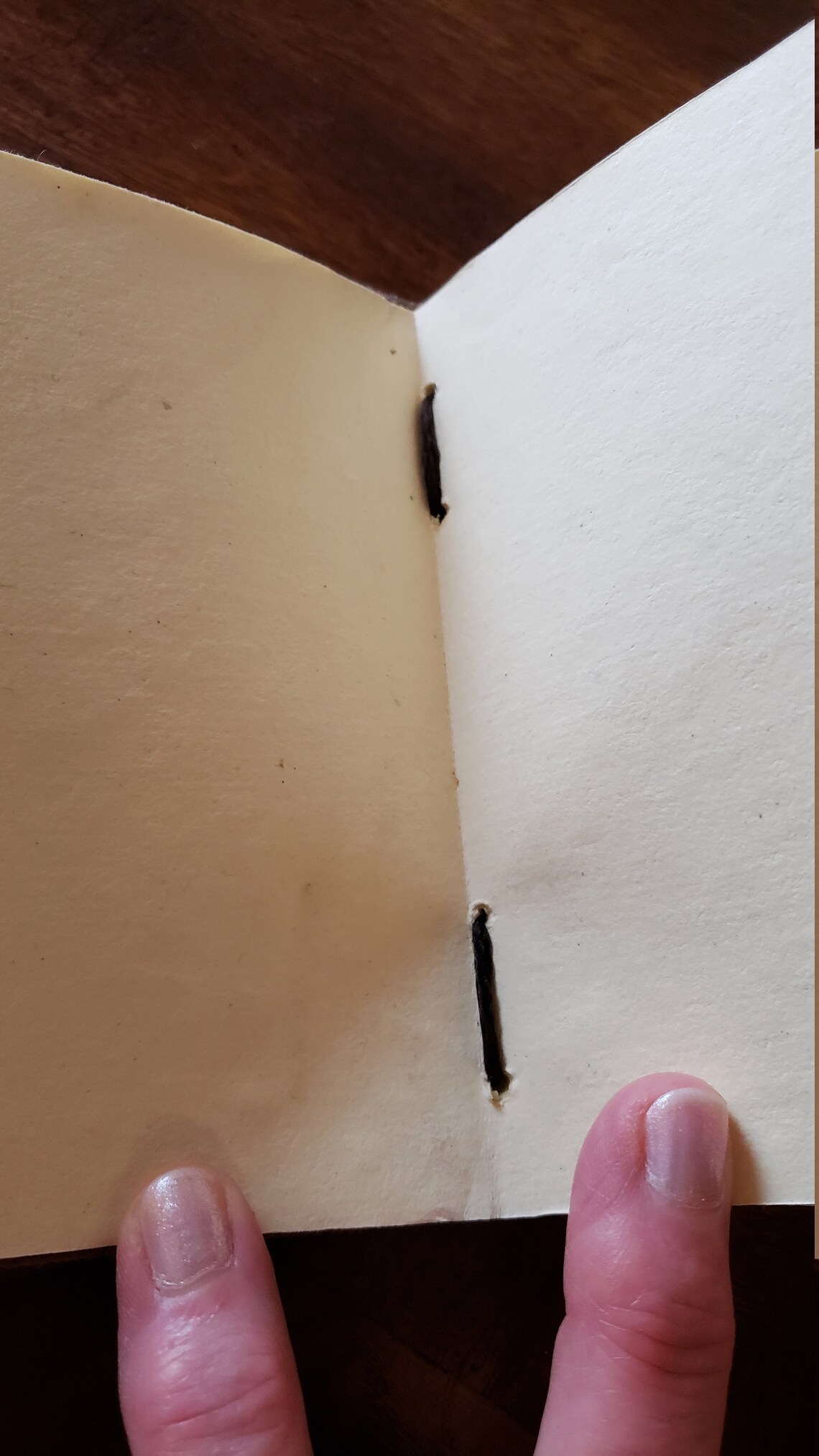 Indiana Jones Type Journal - Etsy