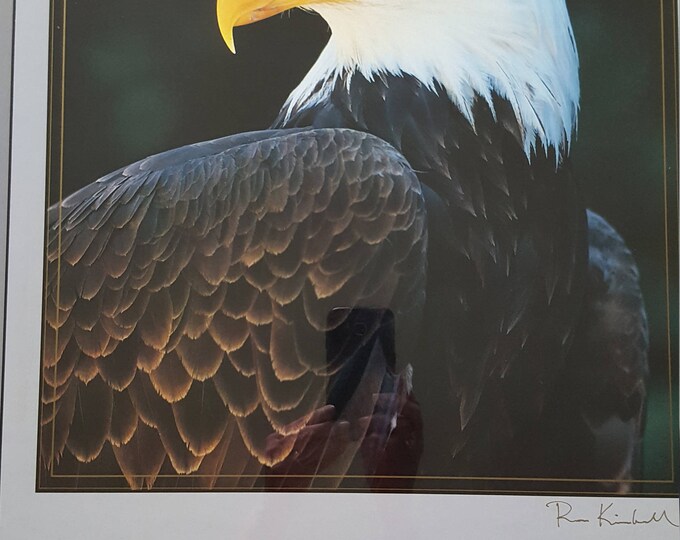 Photographer Signed Print Ron Kimball American Bald Eagle - Etsy