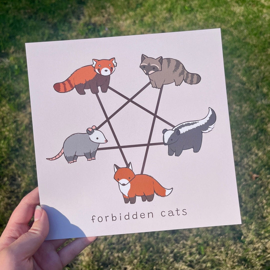 Forbidden Cat Meme 8x8 Print | Wall Art | Silly Animal Artwork | Fox ...