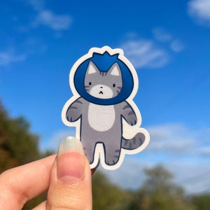 Cute Fruit Cat Stickers | Sticker Set | Strawberry, Orange, Banana ...